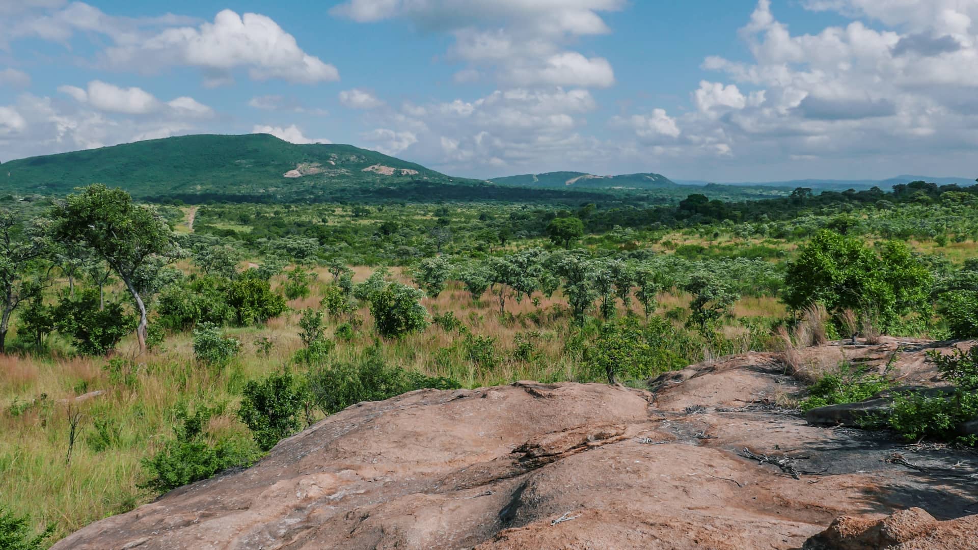 Greater Kruger region in South Africa | Cape Wilderness