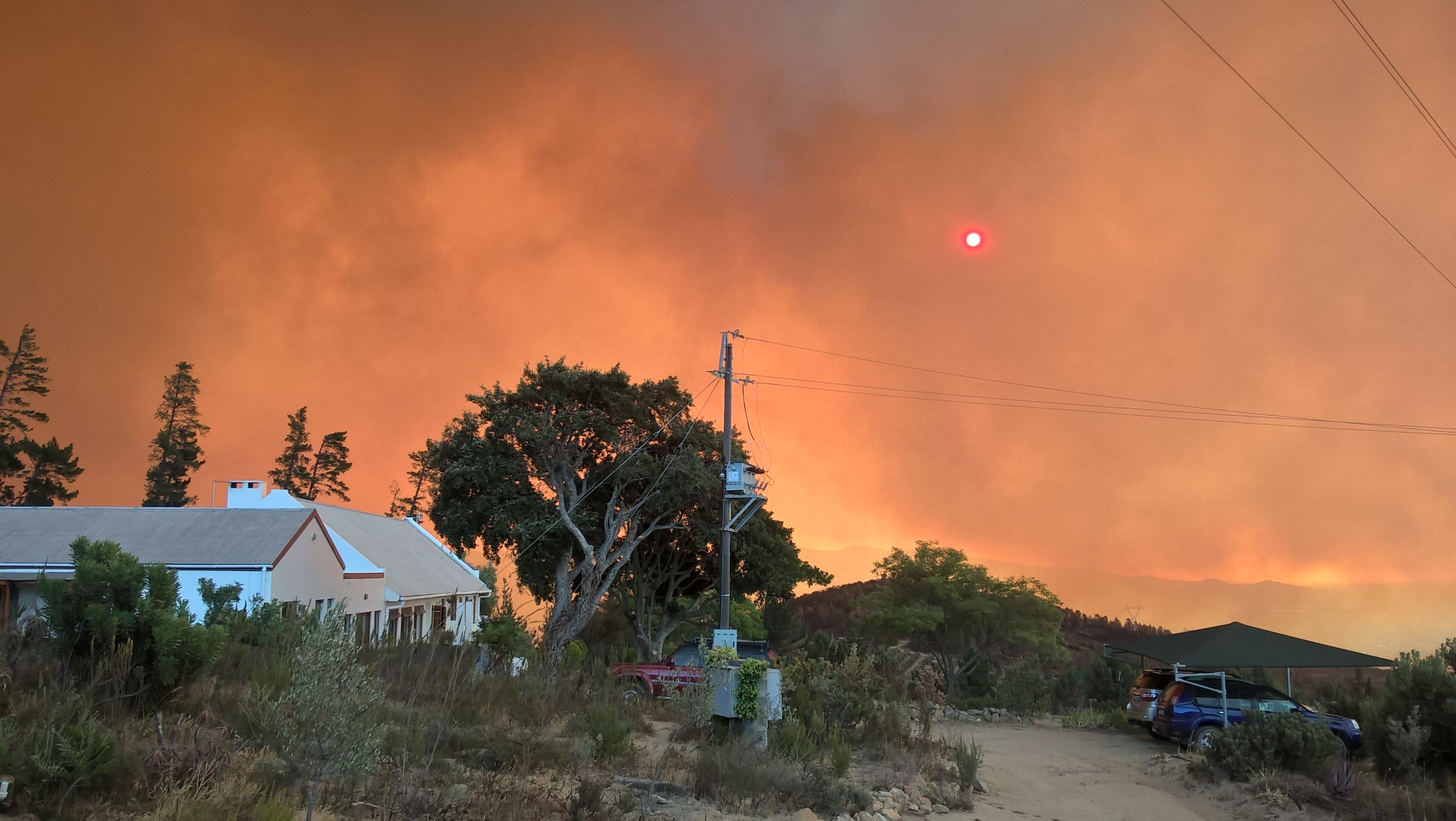 Beulah Survives the Mountain Fire