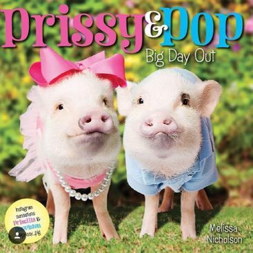Sponsor | Prissy and Pop