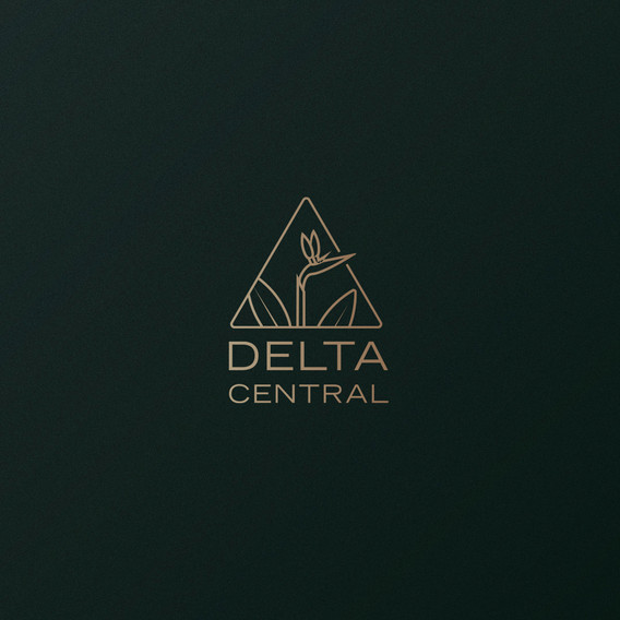 Delta Central | Hithisisjonny
