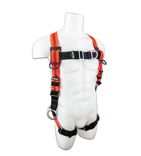Four D-Ring Harness with Pass through Leg Buckles: Universal Sizing ...