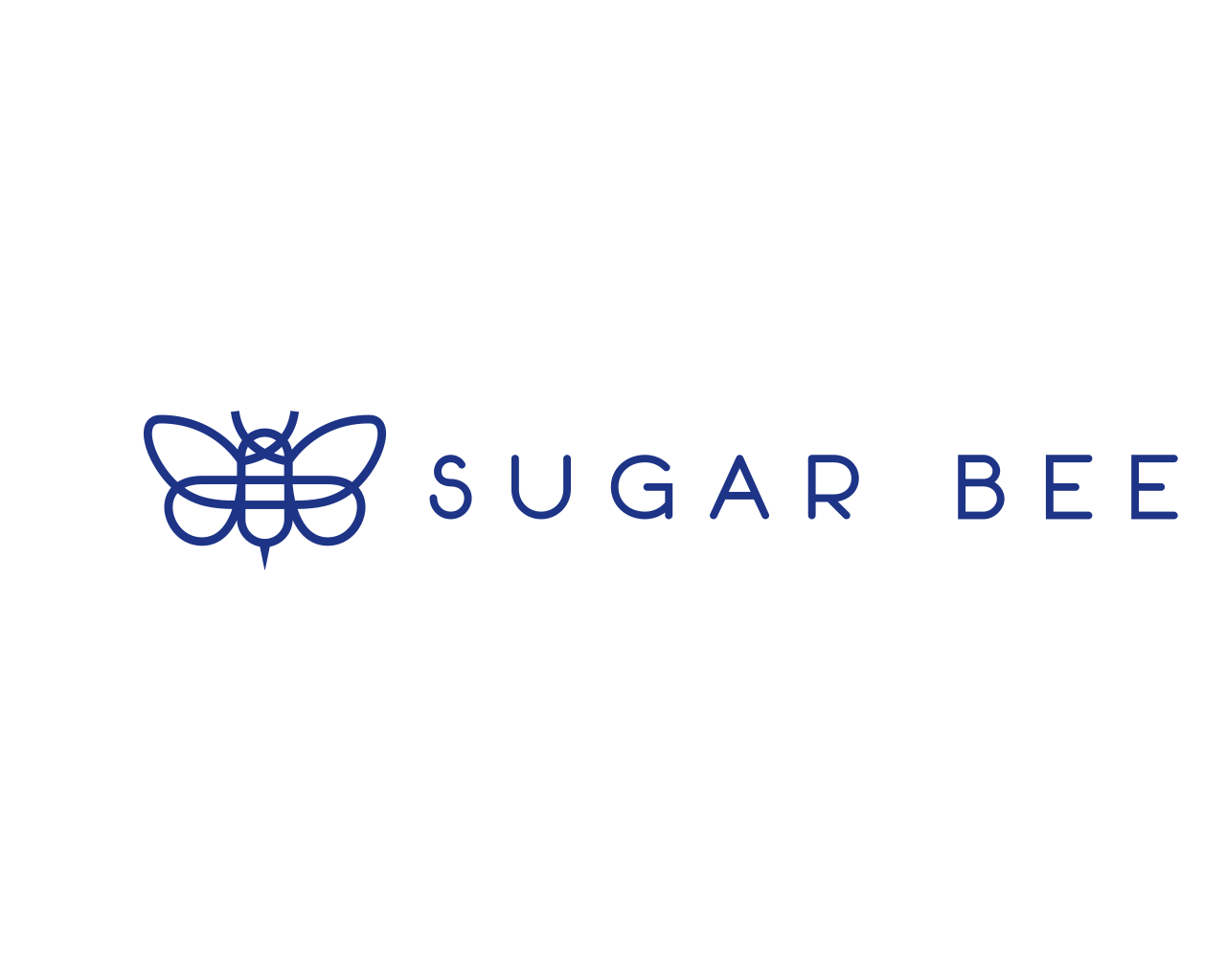 Sugar Bee Beverages | CBD Mixology Kit