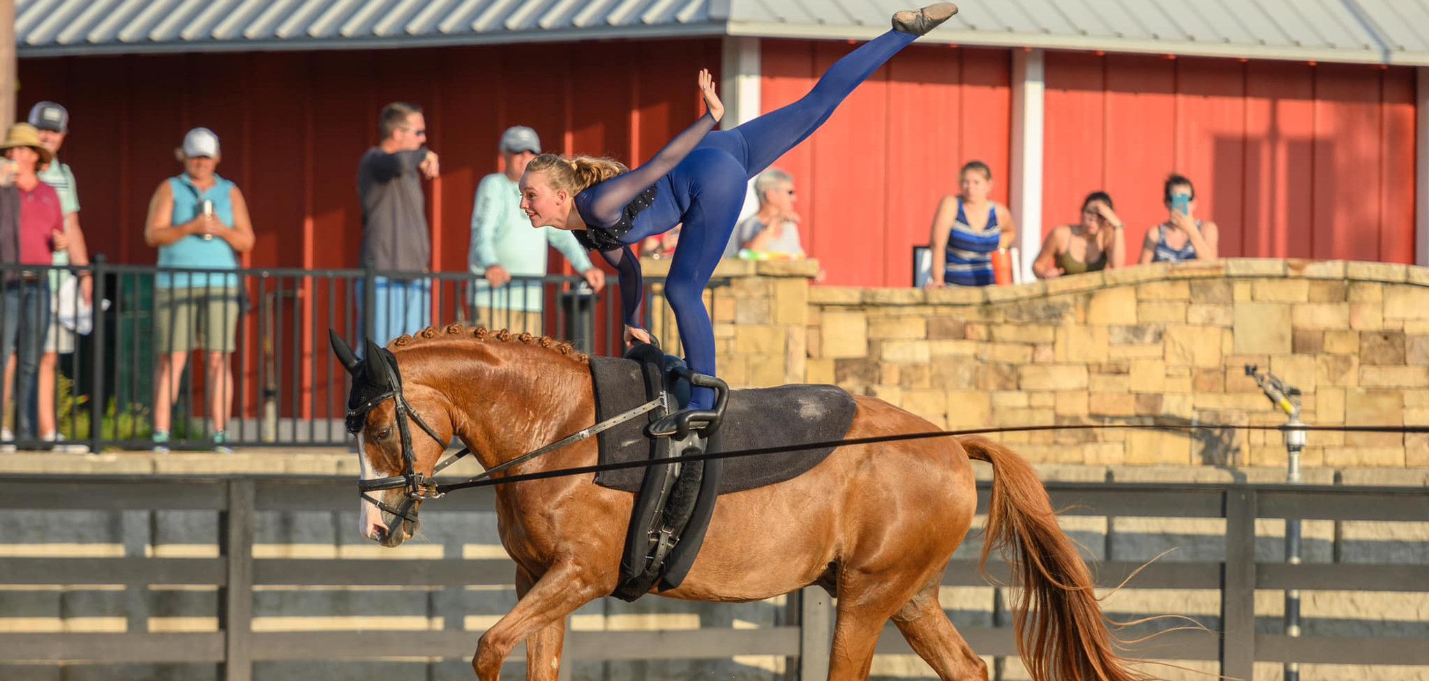 Equestrian Vaulting | +J Ranch - Eustis, FL