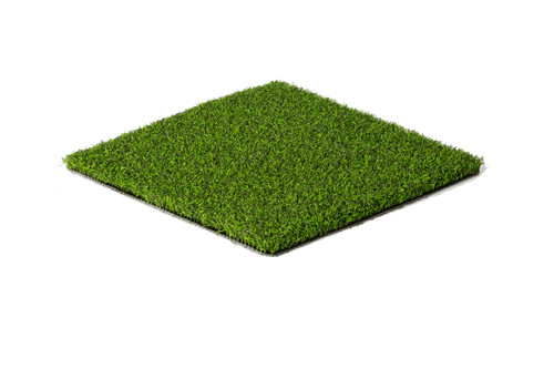 Pro 85 Putt | CAROLINA TURF CO.