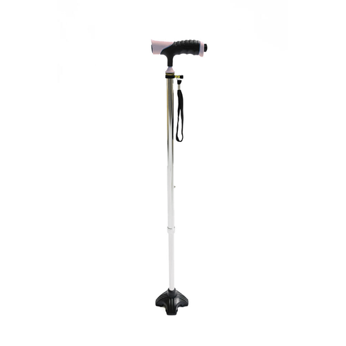 Steady Step Walking Stick | Arriba Physio