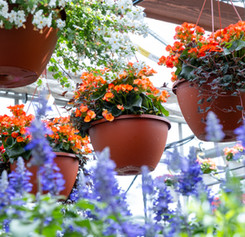 Home | Richardson Farms