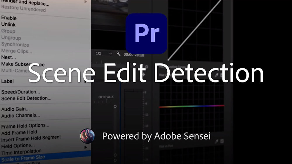 שימוש ב-Scene Edit Detection בפרמייר פרו