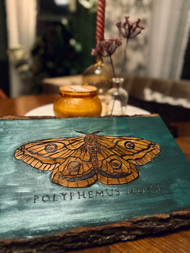 Polyphemus Moth Carving | Farrow House Design