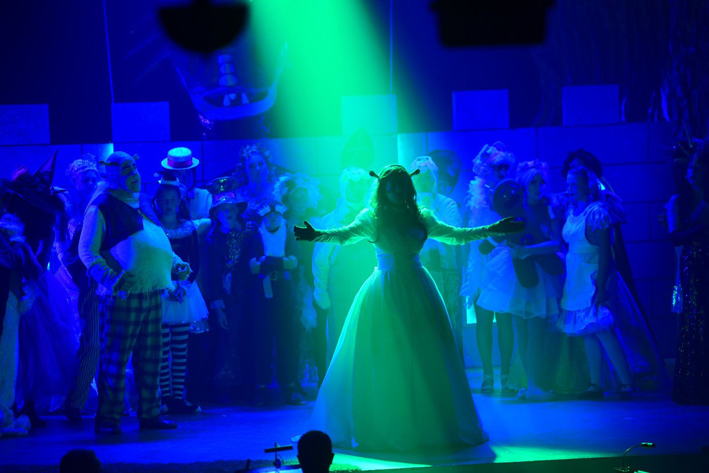 Spring Lake Theatre Co | Shrek