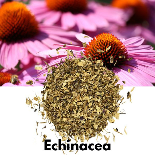 Echinacea, Herb, Dried, Cut & Sifted, Wild Crafted | St Croix Tea