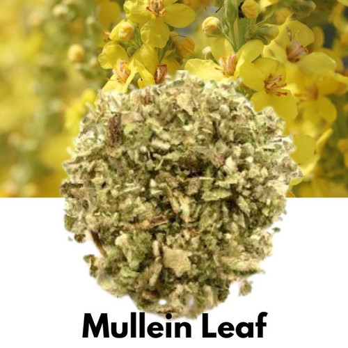 Mullein Leaf, Dried, Herb, Cut & Sifted, Wild Crafted | St Croix Tea