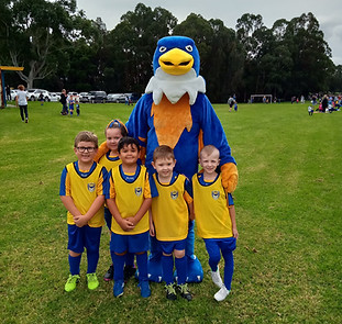 RESOURCES | Dapto Phoenix FC
