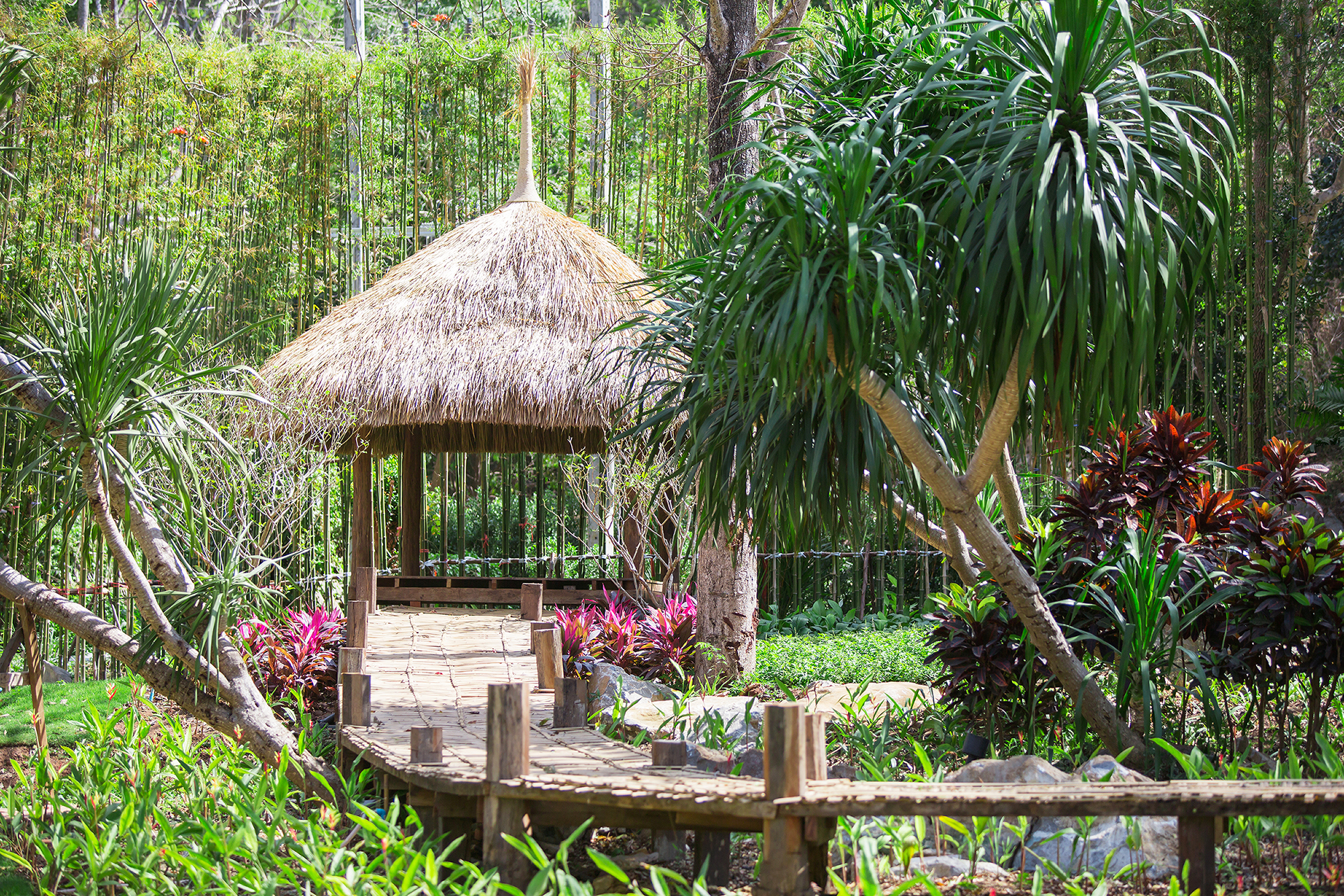 GALLERY | theseriesresort