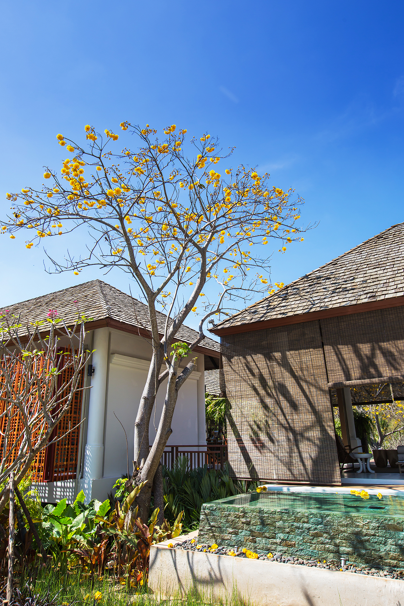 GALLERY | theseriesresort