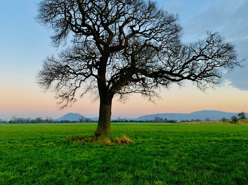 Yew Tree Farm Holidays, Photo Gallery