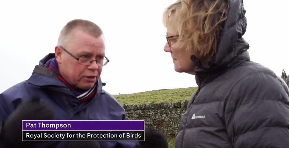 RSPB's Pat Thompson left looking foolish after 'mad' claims of 'peat ...