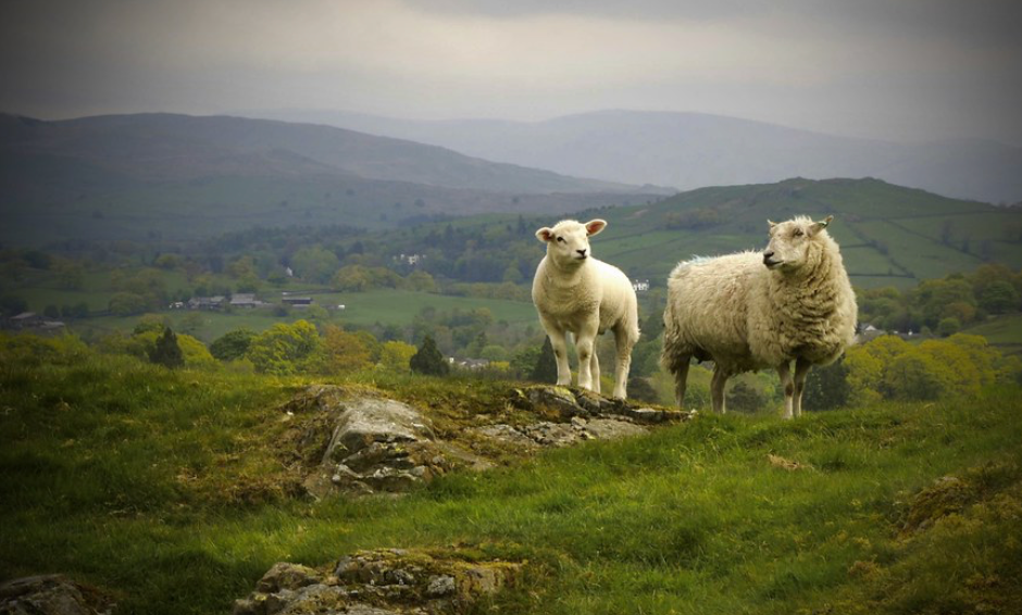 Why are the BBC incapable of portraying rural Britain in their output?