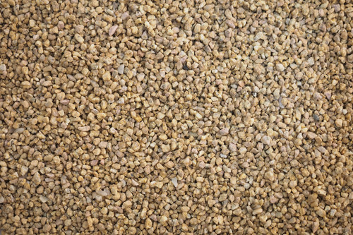 Golden Medical Stones | The Flora Chapter