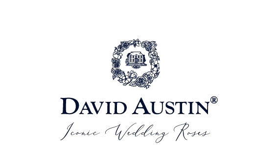 Katya Hutter Floral Design / Event & Wedding Flowers