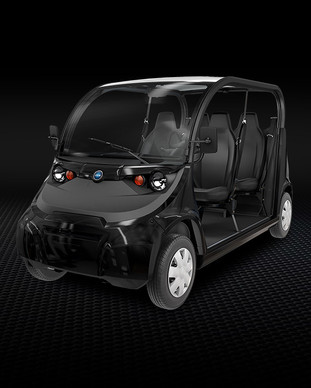 GEM Electric Vehicles by Polaris - Street Legal LSV Golf Cart