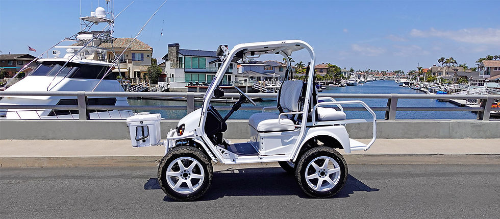 Mars Cars LLC / Mars 4X4 72 Volt Golf Cart EV: Electric Side by side UTV