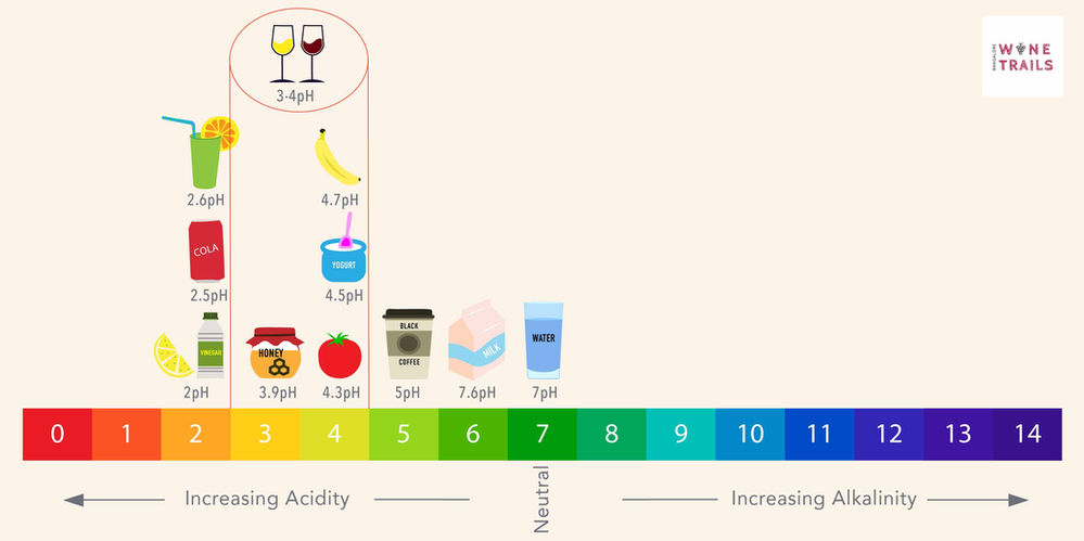 UNDERSTANDING ACIDITY IN WINES