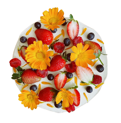 Pastel / Sunshine | Cosmos Bakery