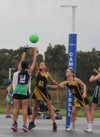 NETBALL | THE OAKS NETBALL CLUB