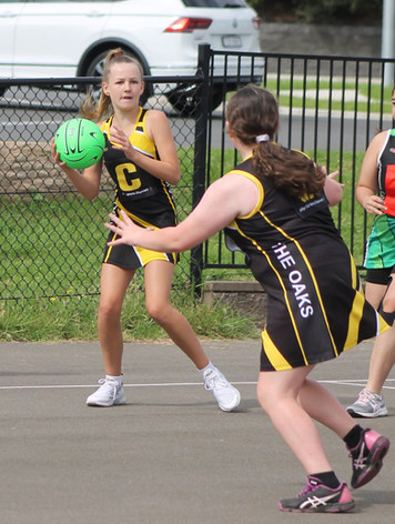NETBALL | THE OAKS NETBALL CLUB