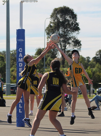 NETBALL | THE OAKS NETBALL CLUB