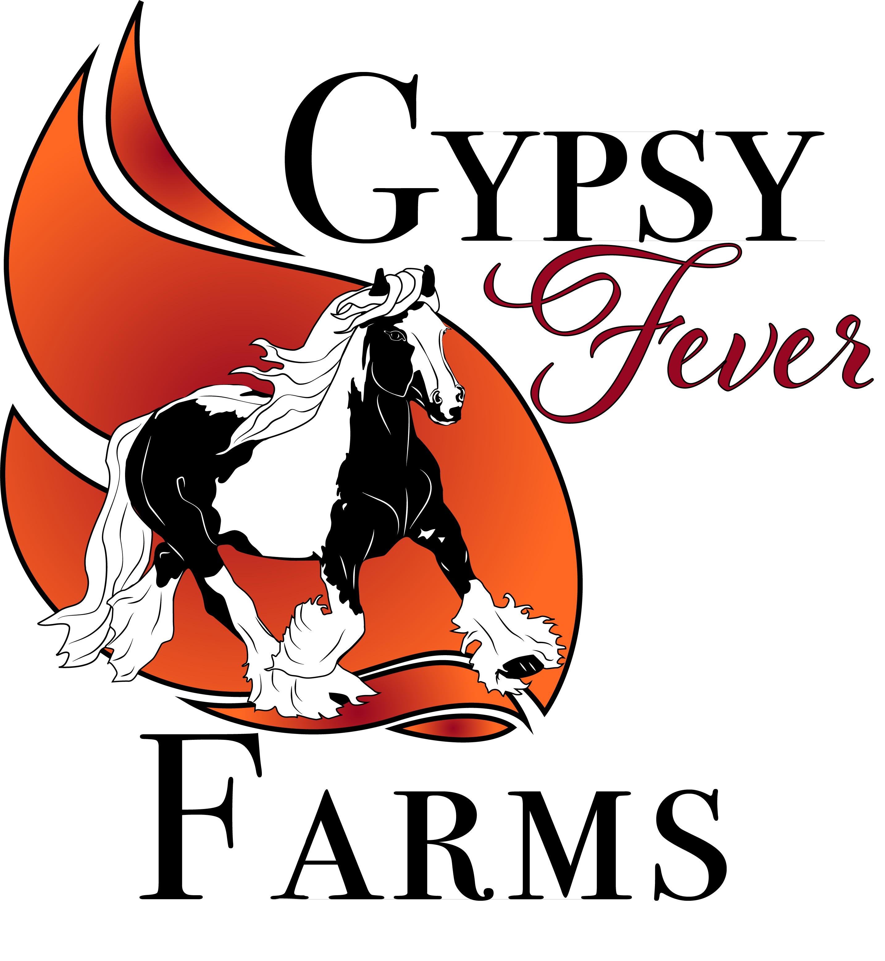 Gypsy Fever Farms - Gypsy Vanner Breeders - Gypsy Vanner Cobs for sal