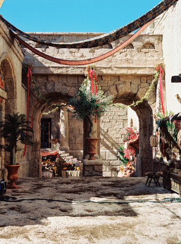 Arches | Shahar Photo