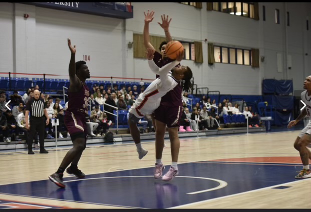 Feldman Arena - Western Connecticut State Wolves