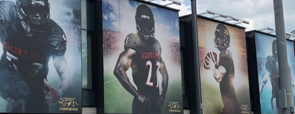Alumni Stadium - Guelph Gryphons