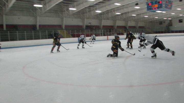 Olympia Ice Arena - American International College Yellow Jackets