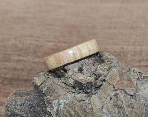 General Albert Jenkins, CSA, Ash Witness Tree Ring | Gettysburg Sentinels