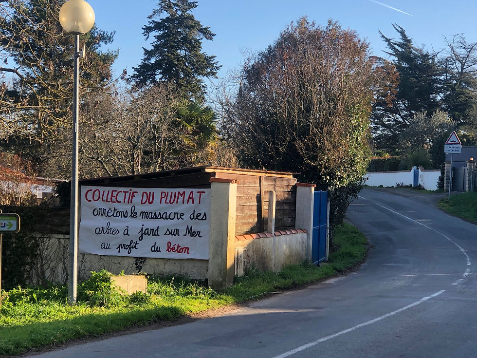 Aux arbres citoyens, mobilisation au Plumat