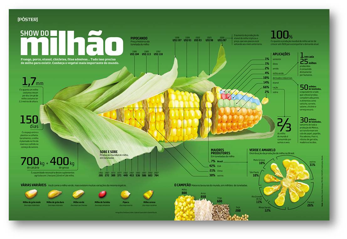 Infográficos | matemagica