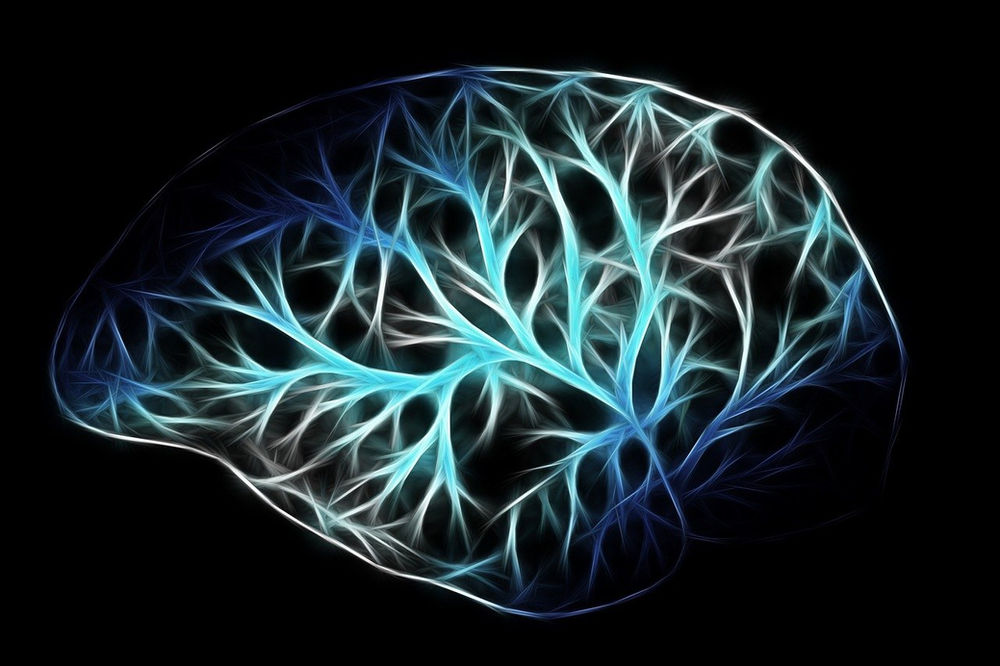 The "10% of Your Brain" Myth