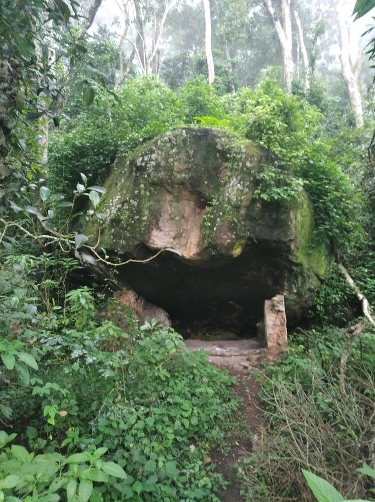 The Story Of Andipaliyar From The Paliyar Tribe In Tamil Nadu