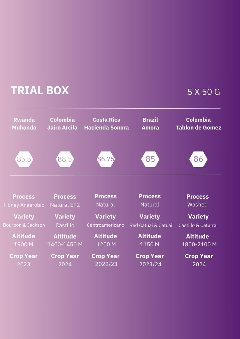 Kahve | Meet Lab Coffee