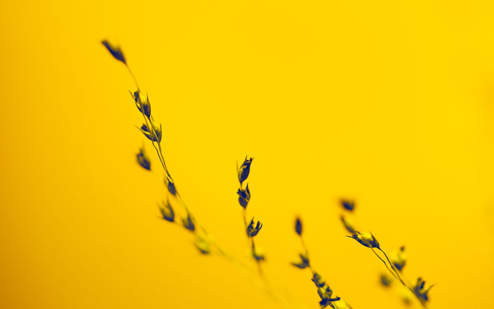 Self-Expression in Photography https://www.iris28.art/post/self ...