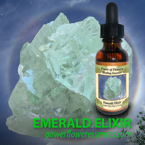 Emerald Elixir | Power of Flowers