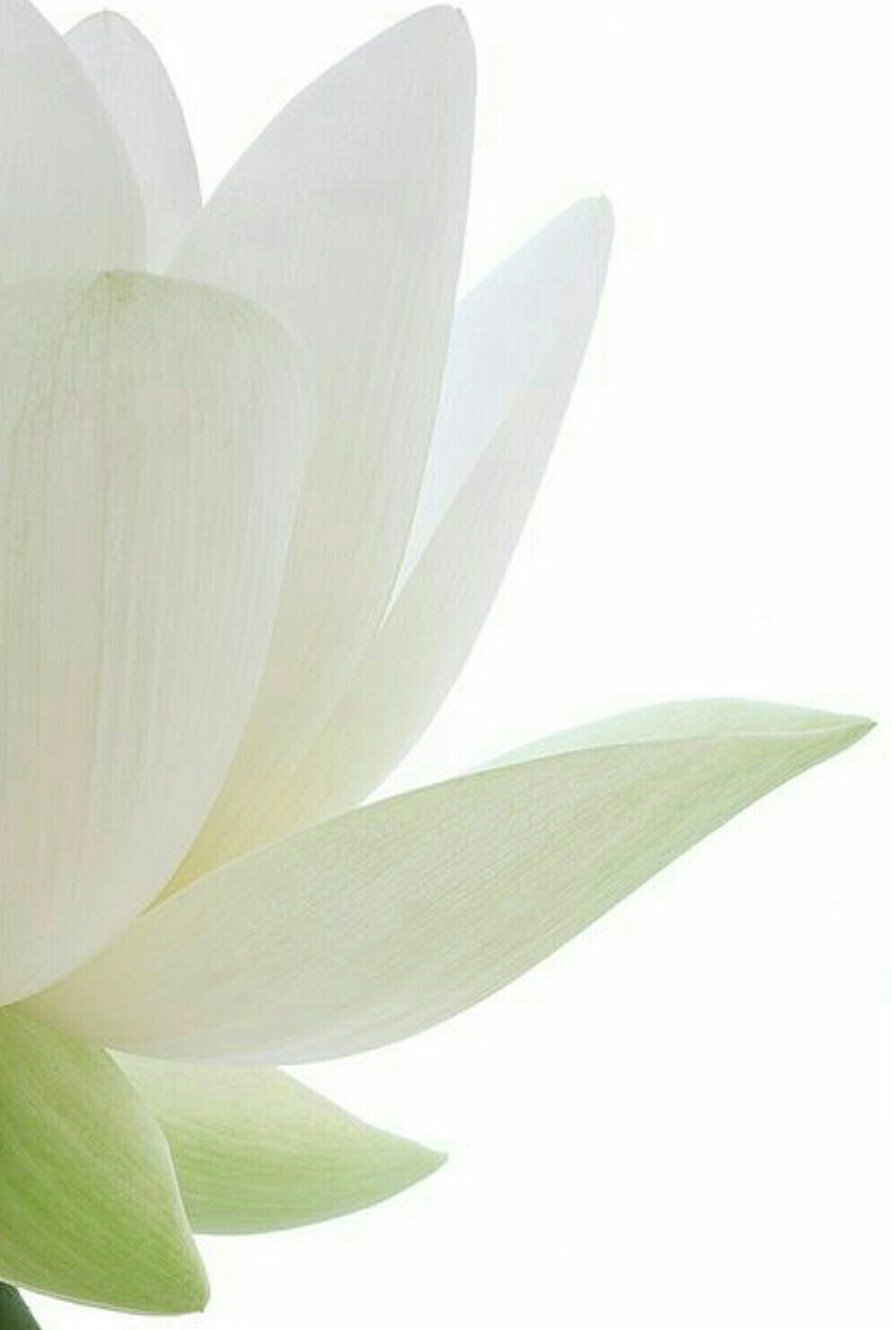 Nov 2019 Open Heart workshop level 1 & 2 | NWL Assoc Singapore