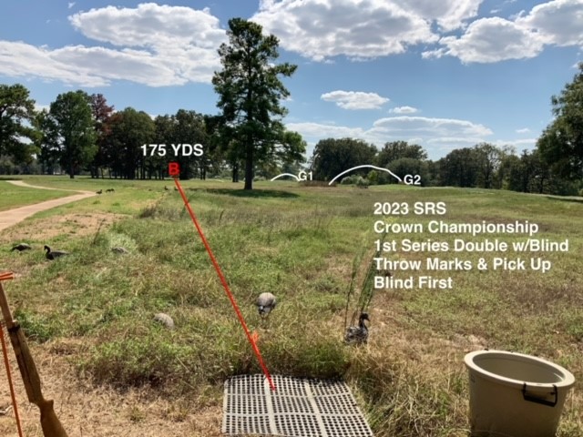 Hunt Test SRS Crown: Field Trial Retriever Training Success