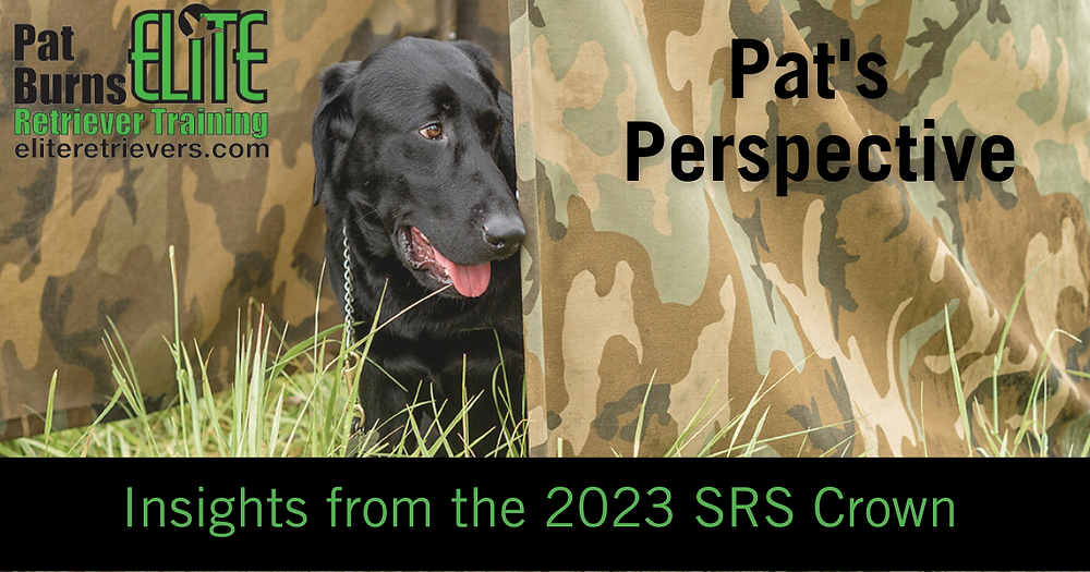 Hunt Test SRS Crown: Field Trial Retriever Training Success