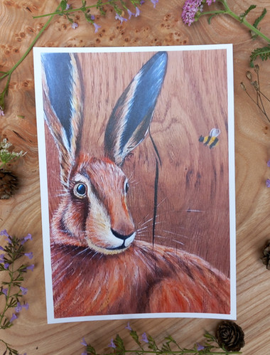 "Beatrice" - Unframed Hare Print | Wildlife Art on Wood