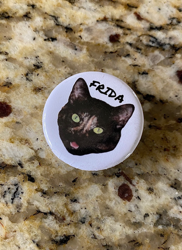 Button - Frida! | Allysin Kay