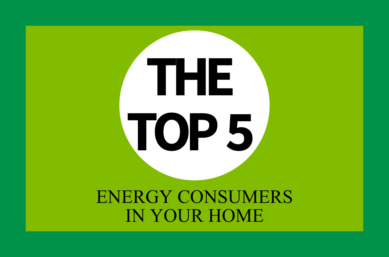 The Top 5 Energy Consumers