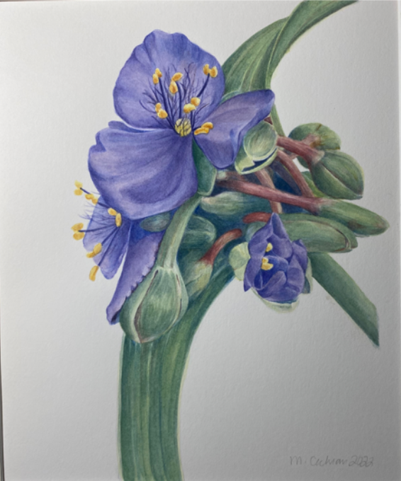 Michelle Cochran | The Great River Chap